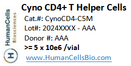 Non-human Primate (Cynomolgus) CD4+ T Helper Cells – HumanCells Bio